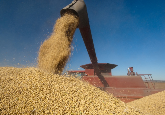 Agronomy: Illinois Once Again Top Soybean-Producing State - Field Advisor