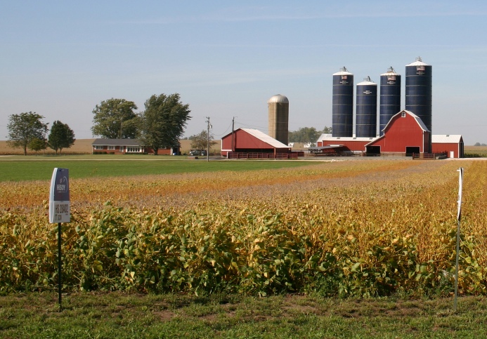 Plant & Soil Health: Using Inoculants in a Corn-Soybean Rotation ...