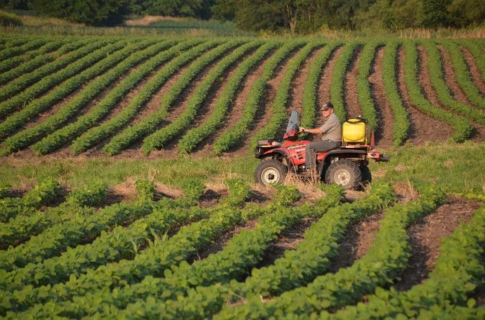 Twelve BMPs for Managing Weed Resistance - Field Advisor