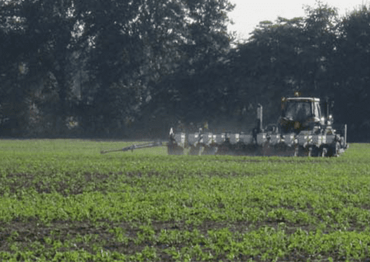 Part 2 – Soybean Calcium Requirements: Understanding the Calcium Cycle ...
