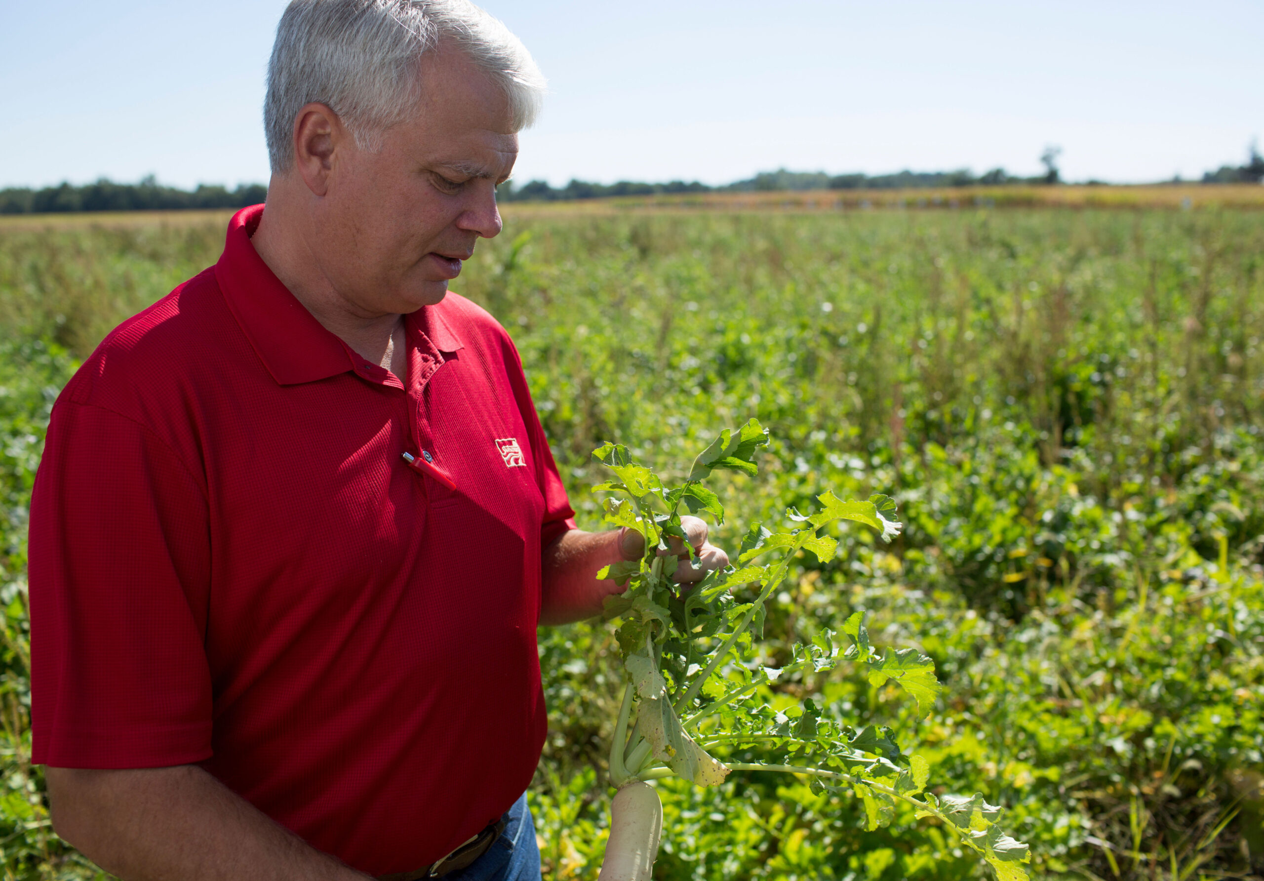 Decision Making for Defoliating Insects in Soybean - Field Advisor