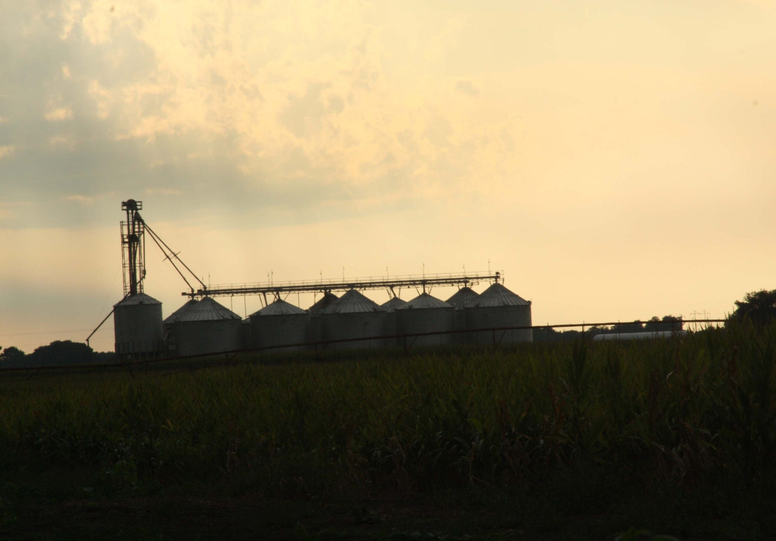Wet Weather: Flooding, Poor Nodulation, and Disease Concerns - Field ...
