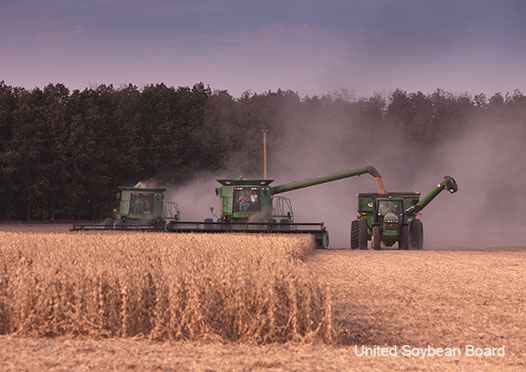 Understanding Crop Nutrients - Field Advisor