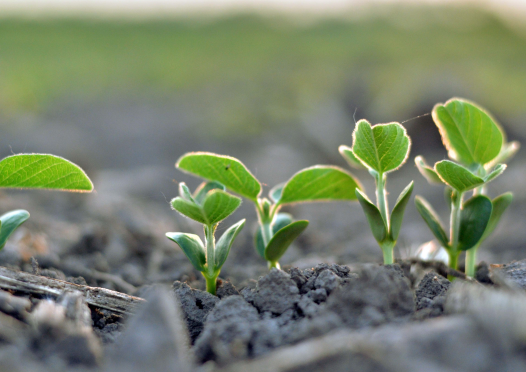 Five Easy Ways to Use Digital Ag to Improve Production on Your Farm ...