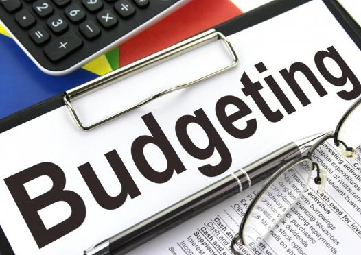 Budgeting: What, Why and How? - Field Advisor