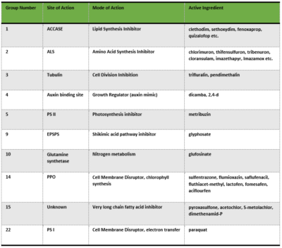 Herbicide Active Ingredients – A Deeper Dive - Field Advisor
