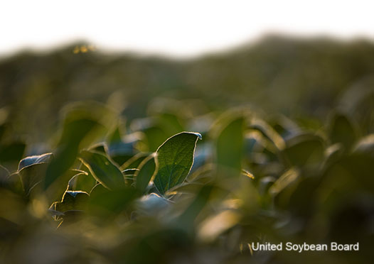 Biological Products, What Are They and Where Do They Work? - Field Advisor