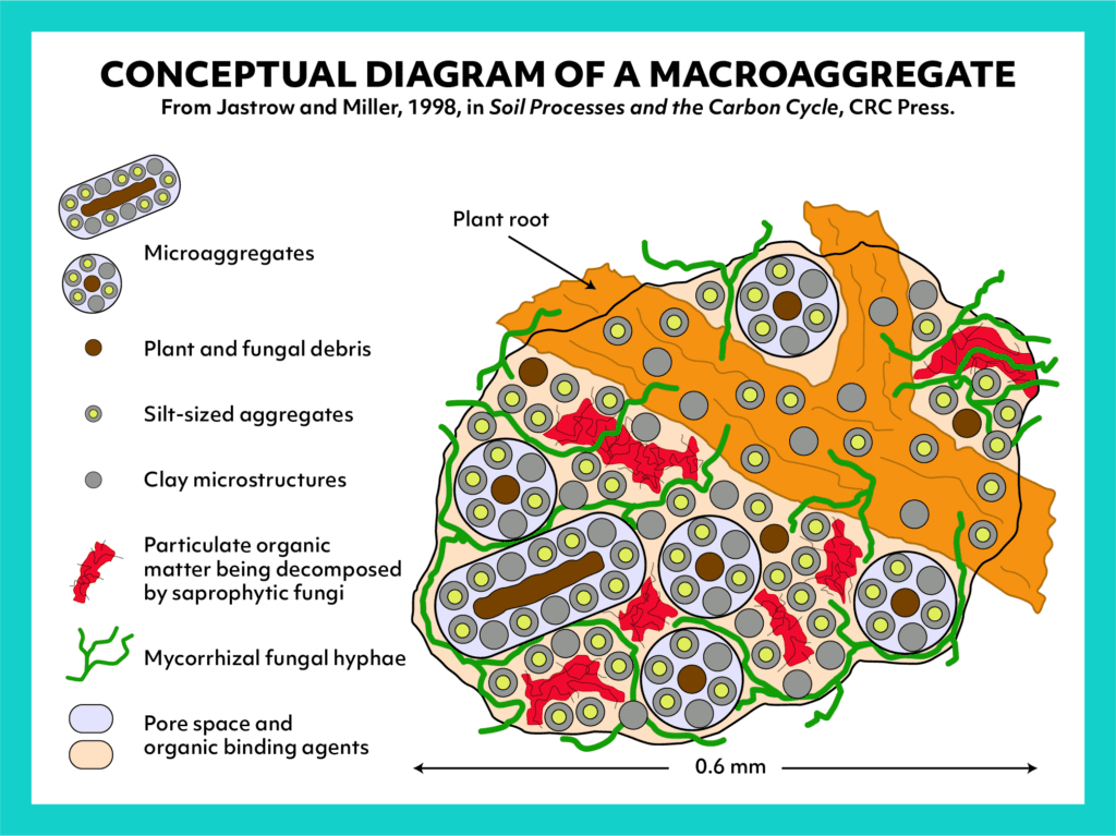 Aggregates are Essential for Healthy Soil - Field Advisor