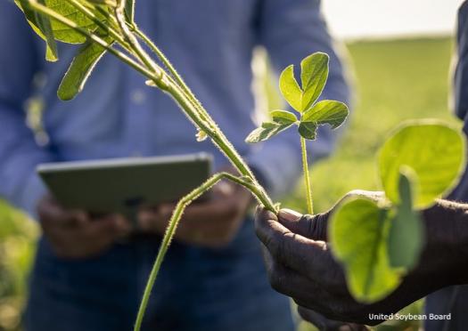 Calculate Crop Removal Nutrient Rates - Field Advisor