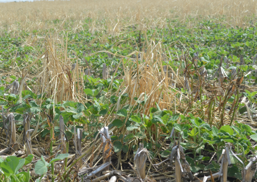 PCM Impacts: Summarizing Practice Adoption, Nutrient and Sediment Loss ...