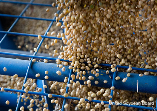 Proper Grain Grading - A Key to Worldwide Grain Movement - Field Advisor