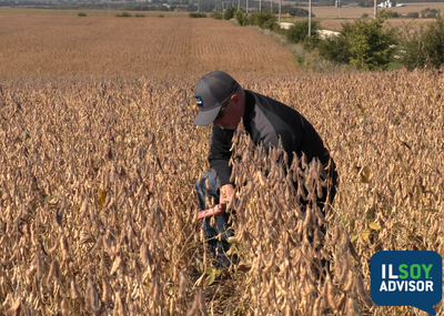 And In Conclusion - Field Advisor