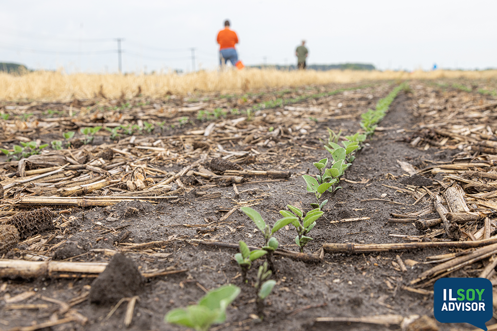 The New Frontier of Weed Control for Early Planted Soybeans - Field Advisor