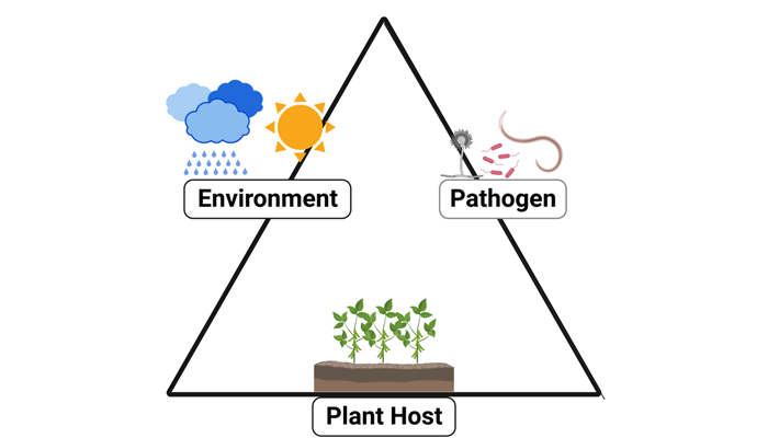 Soybean Pathology 101 Series: The Disease Triangle - Field Advisor