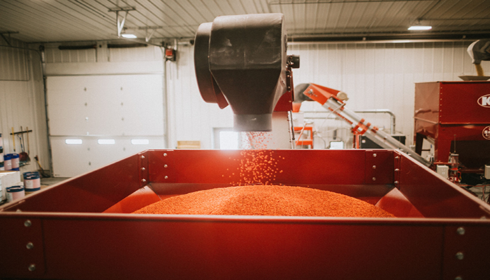 Why Seed Treatment on Soybeans? - Field Advisor