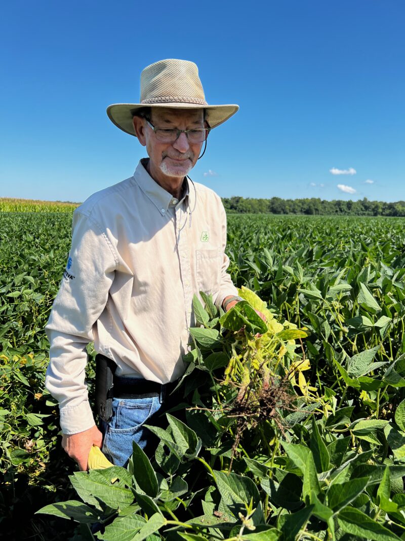 Tackling Red Crown Rot: Scouting, Diagnosis, and Current Management ...