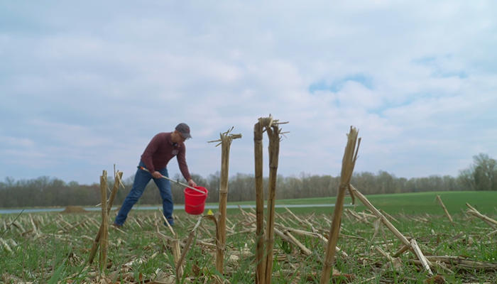 Exploring Cover Crops as a SCN Management Tool - Field Advisor