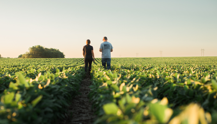 Certified Crop Advisor Exam Training: Recap and Upcoming Exam Details ...