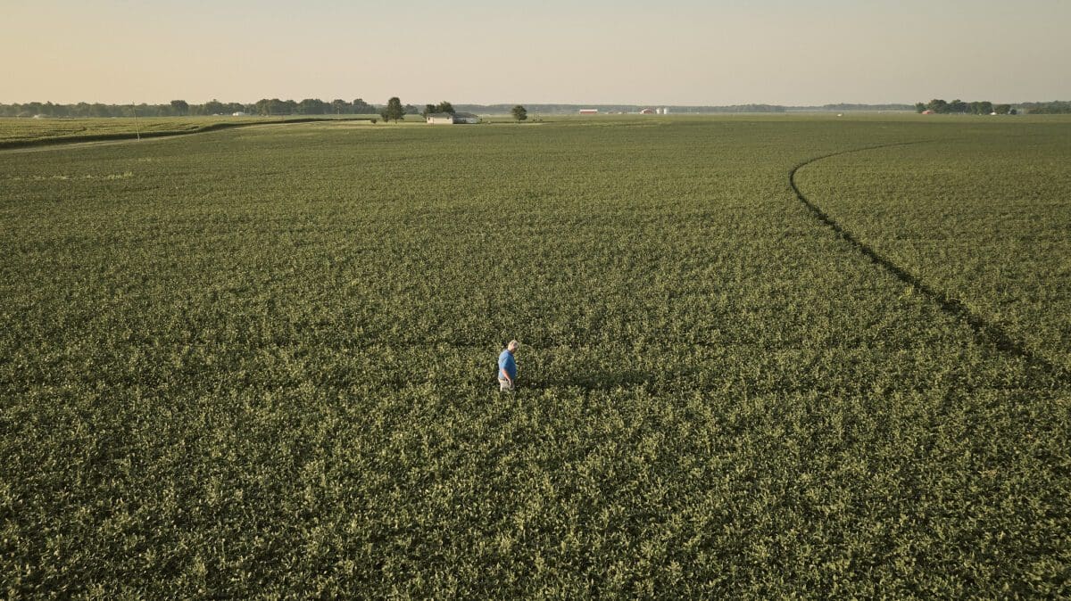 Turning Point: How the 1980s Reshaped American Agriculture - Field Advisor