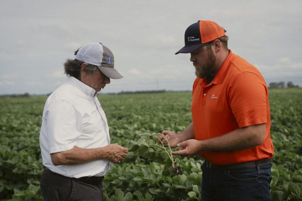 Tissue Testing Study Uncovers How Nitrogen and Sulfur Impact Soybean ...