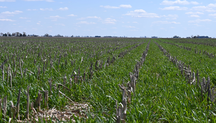 Fall Covers for Spring Savings Program Opens for 2025–2026 Season ...